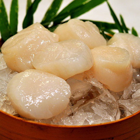 Japanese Wild Scallops (Medium) Family Pack | Catch Seafood
