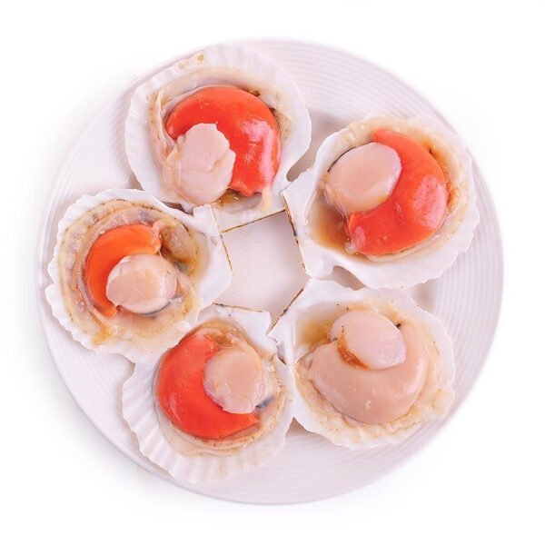 Half Shell Scallops Family Pack | Catch Seafood